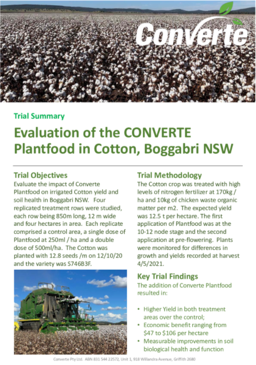 Testimonials - Converte