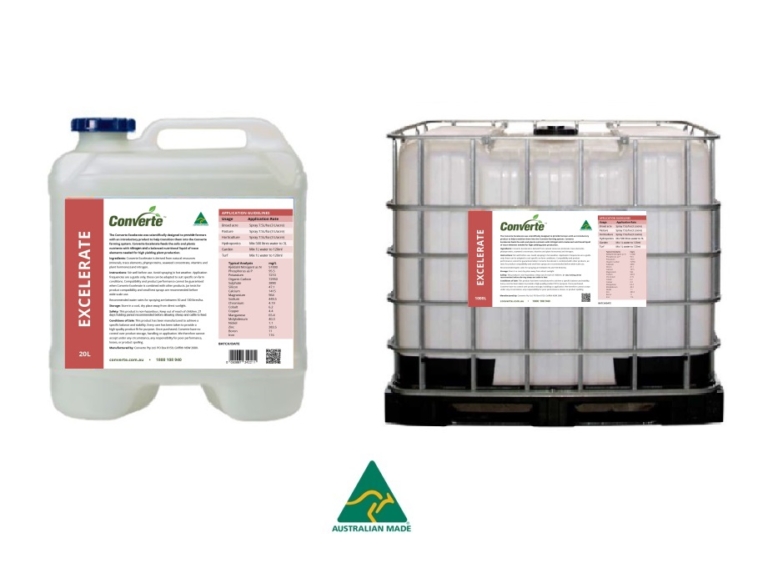 EXCELERATE N PLUS - Converte