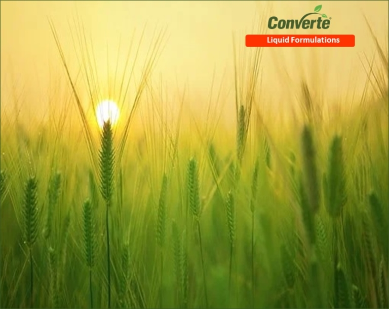 Cost-Effective Bio-Agri Inputs for Crop Nutrition & Soil Health - Converte