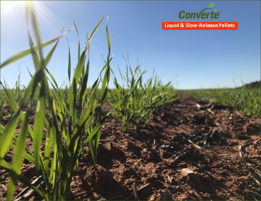 Cost-Effective Bio-Agri Inputs for Crop Nutrition & Soil Health - Converte