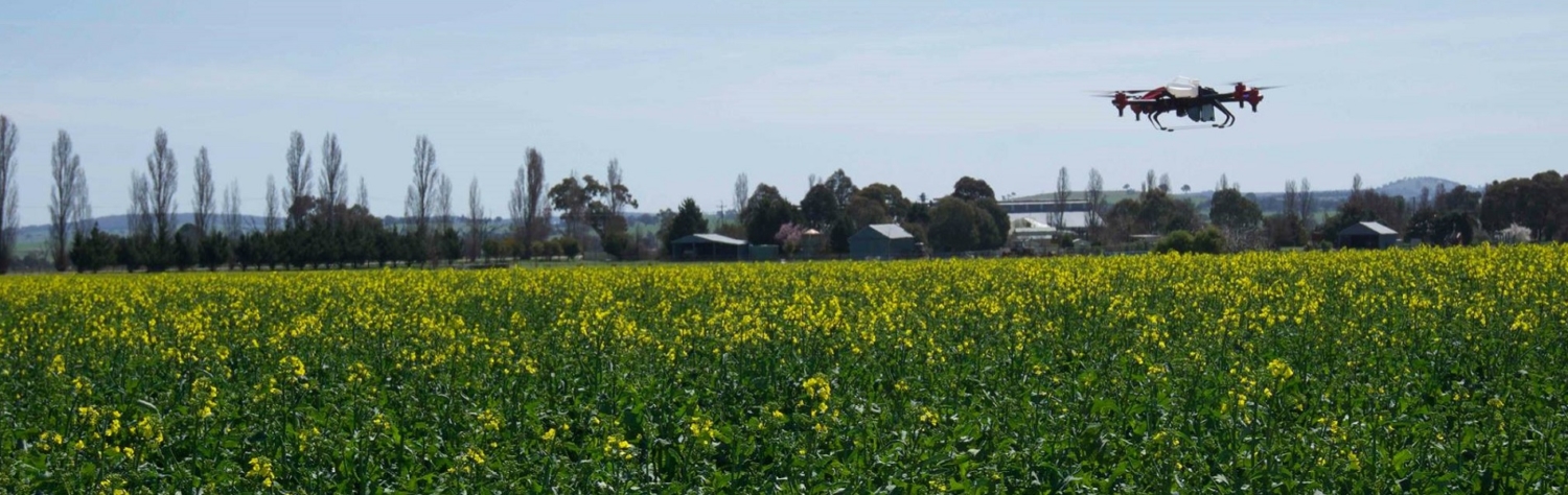 Cost-Effective Bio-Agri Inputs for Crop Nutrition & Soil Health - Converte